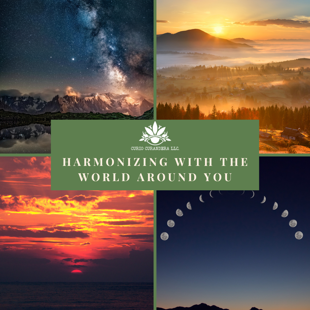 Harmonizing with the World Around You E-Course – Curio Curandera LLC.